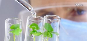 CJ CheilJedang’s Green Biotechnology Journey – CJ Newsroom