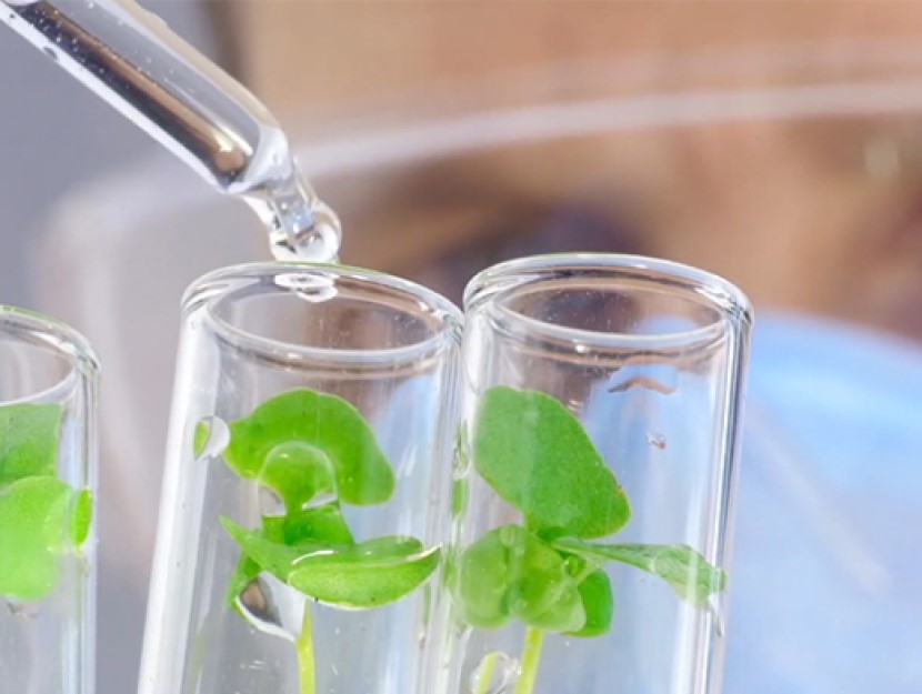 CJ CheilJedang’s Green Biotechnology Journey – CJ Newsroom