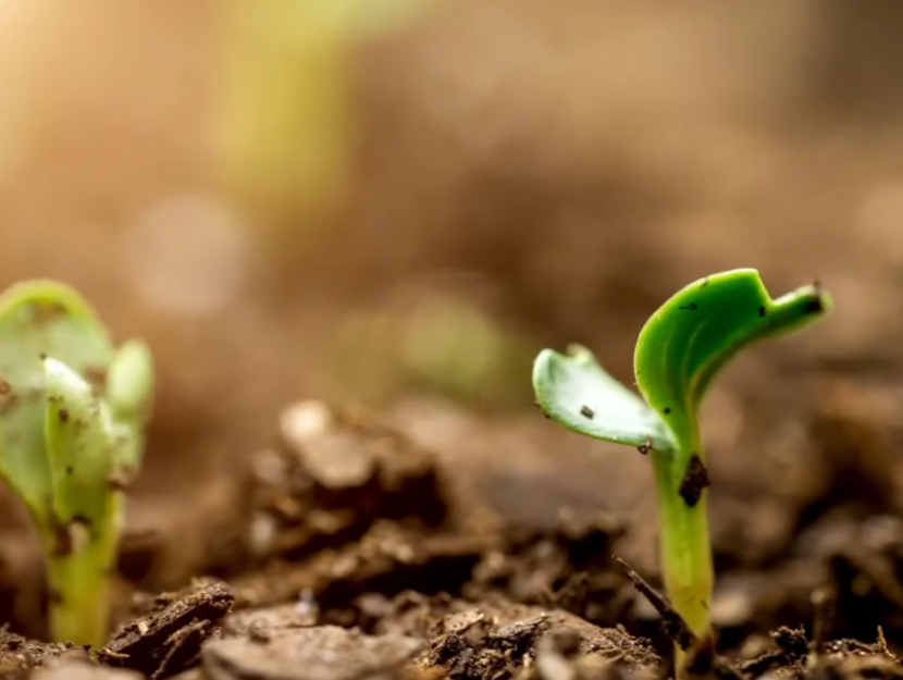 Earth Day 2023: CJ’s Green Efforts - CJ Newsroom