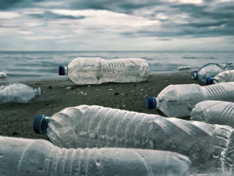 PHACT – CJ NEWSROOM